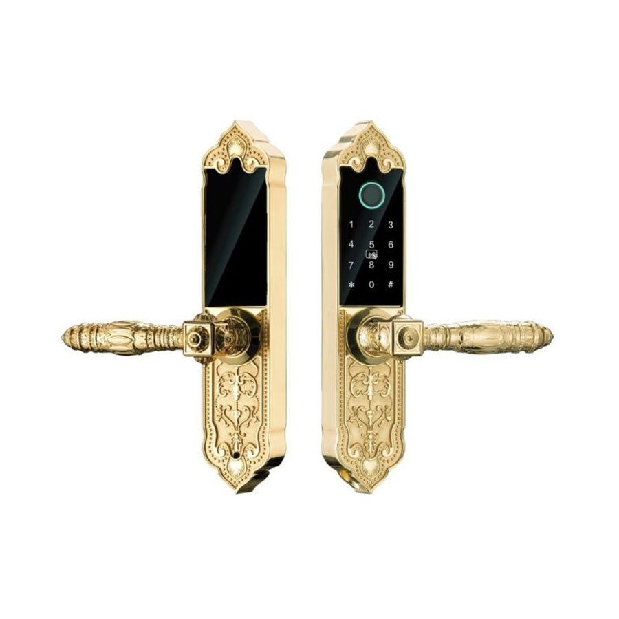 Khóa Điện Tử Hubert HB DS79 Gold Mini